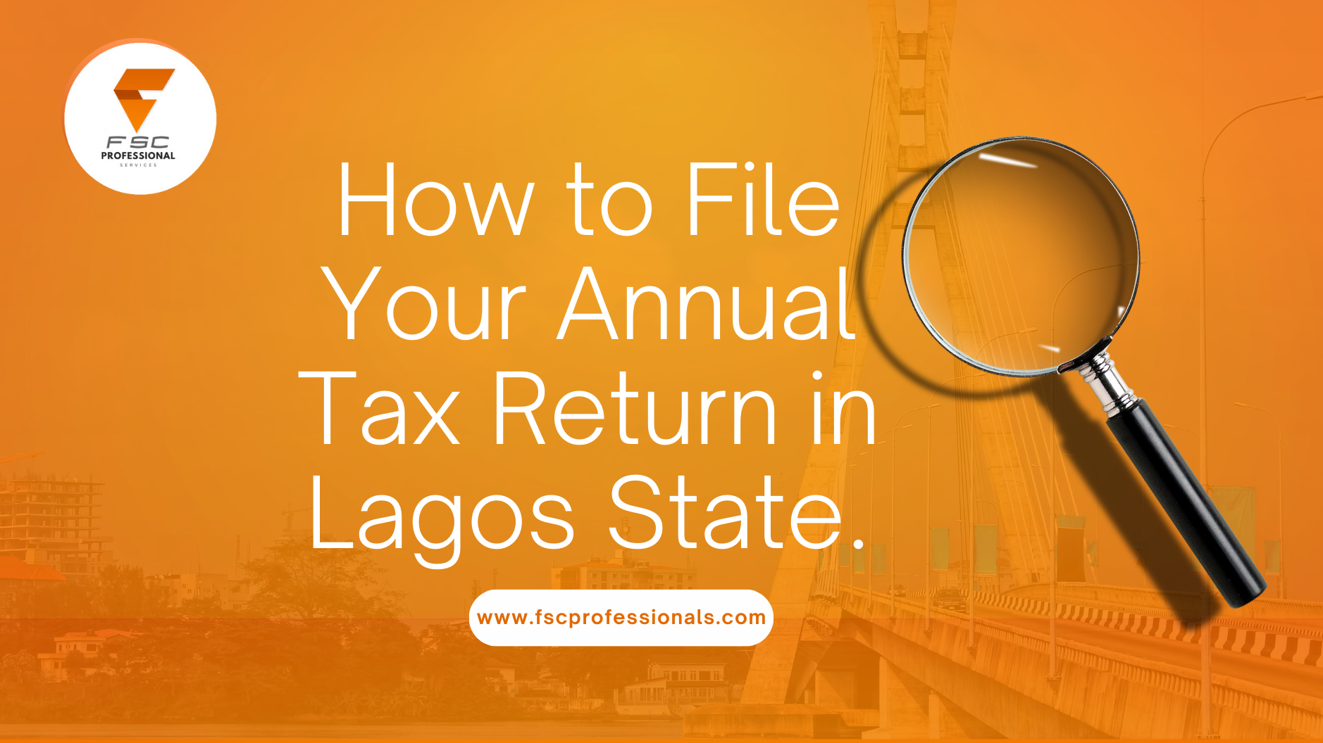 How to File Your Annual Tax Return in Lagos State Before the March 31, 2025 Deadline - FSC ...